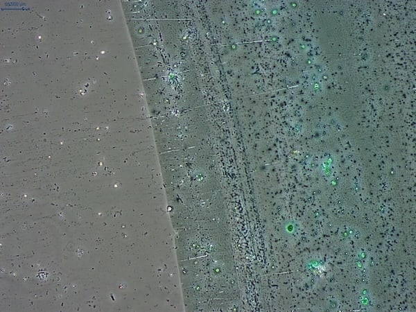Microscope Setup: Light Path Alignment (Kohler Illumination & Phase ...